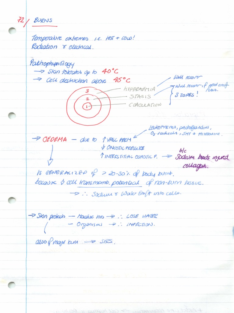 Burns PDF | PDF | Science & Mathematics