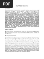 Hay Infusion | PDF | Microorganism | Water