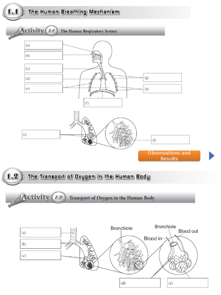 Science Form 3 Chapter 1 Notes | PDF