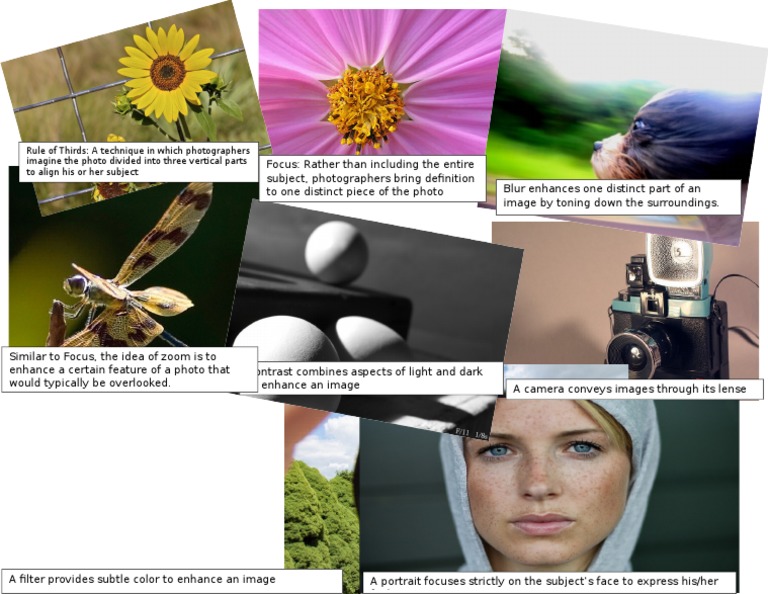Photography Techniques Explained | PDF