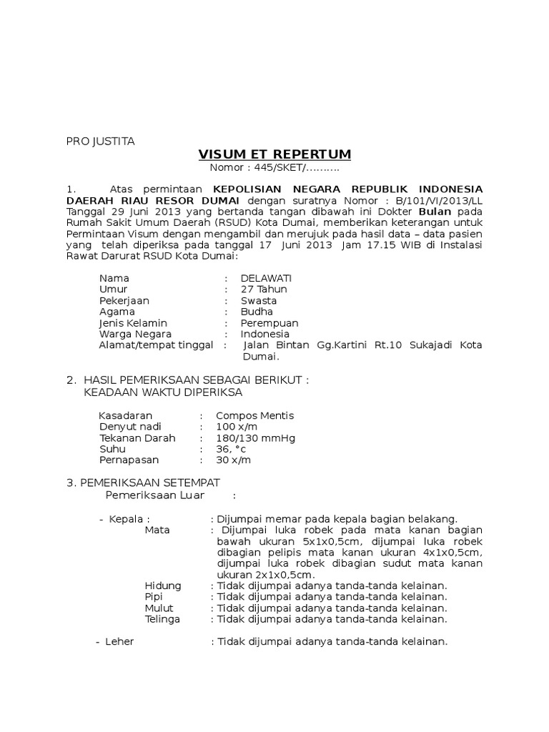 Contoh Visum | PDF