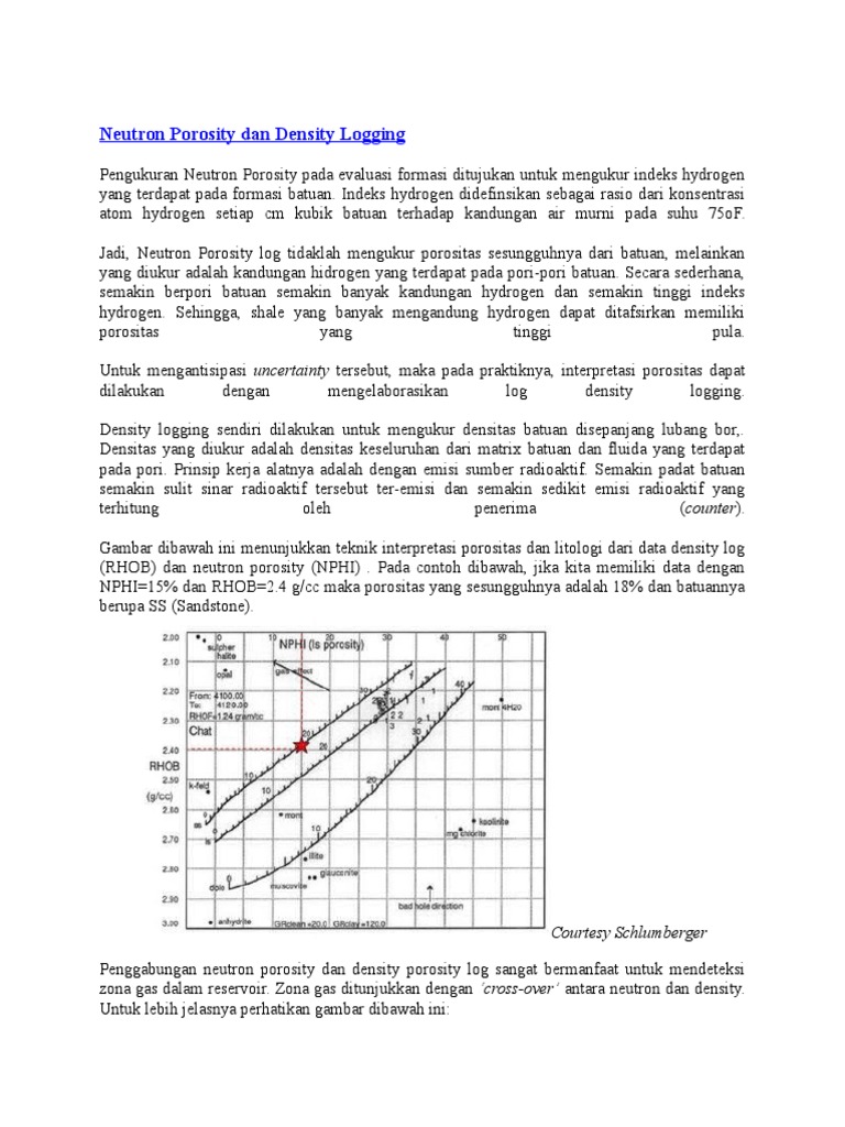 Neutron Porosity Dan Density Logging | PDF