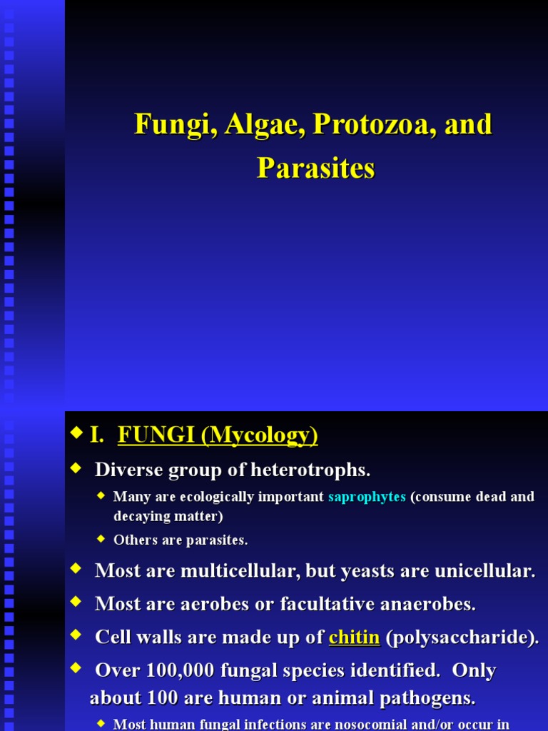 Fungi, Algae, Protozoa, and Parasites | PDF | Protozoa | Fungus