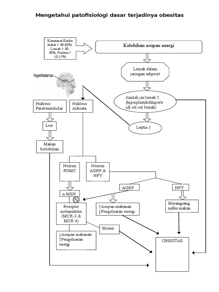 Patofisiologi obesitas