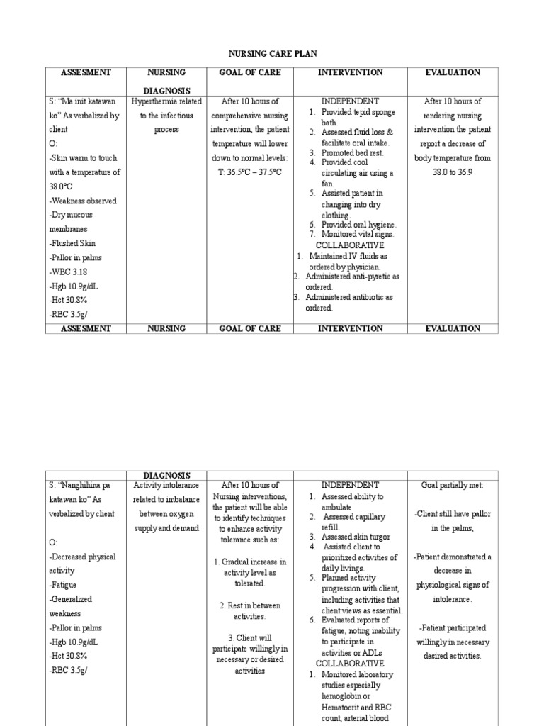 Nursing Care Plan Final | PDF | Breathing | Nursing