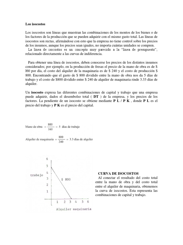 Isocostos y Otros | PDF | Los consumidores | Teorías económicas