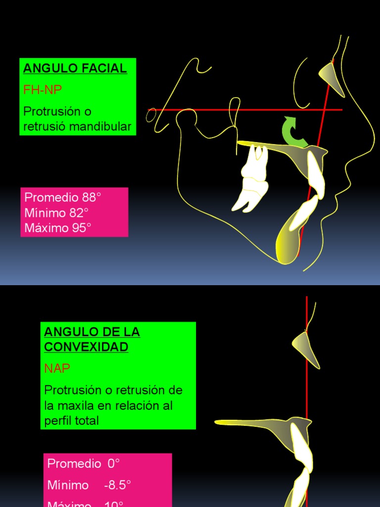 TRAZOS | PDF | Enfermedades y trastornos | Ciencias de la Salud