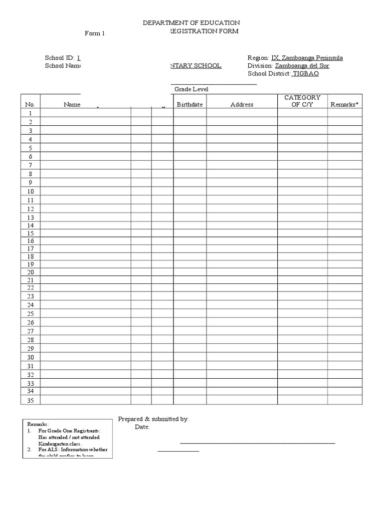Grade 1 Early Registration Form | PDF