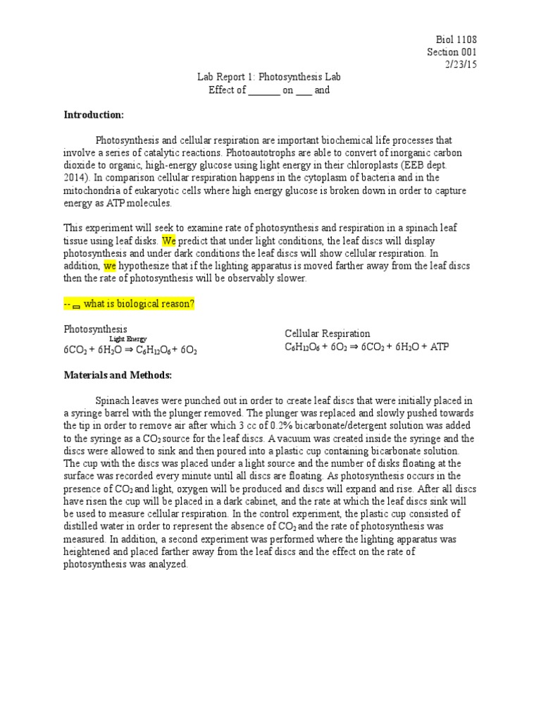 Lab Report 1 Biology Photosynthesis | PDF | Photosynthesis | Cellular ...