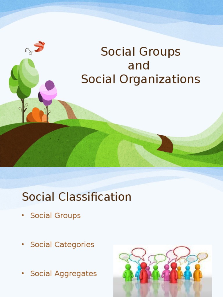 Social Groups, Categories & Organizations Explained | PDF | Social ...