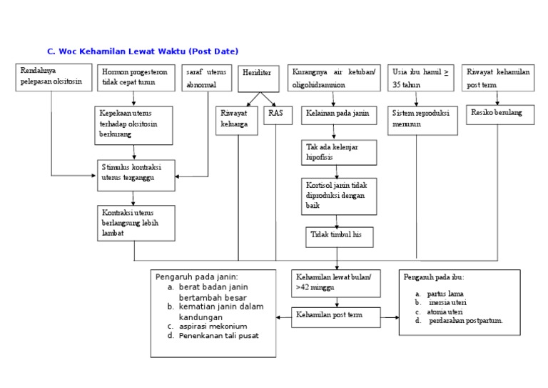 Patway Post Date | PDF
