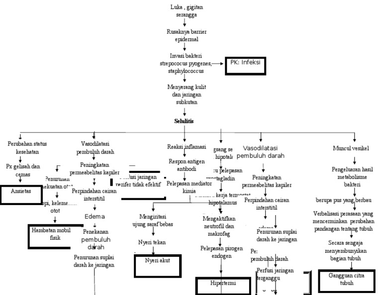 Pathway Selulitis (1)