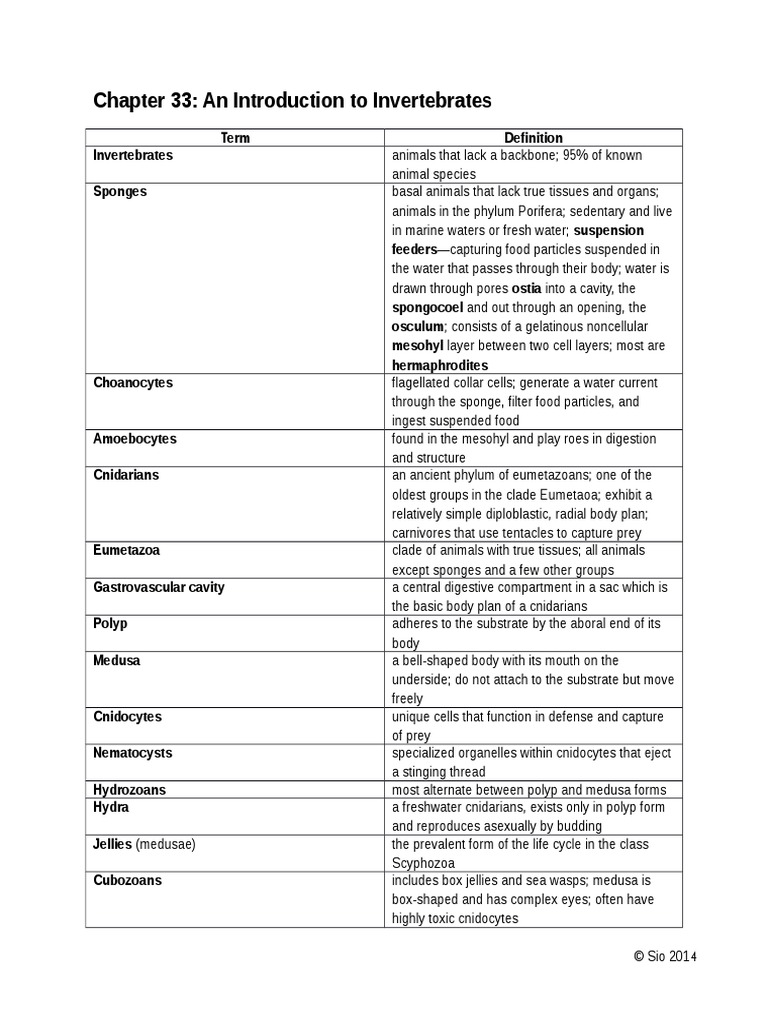 Introduction to Invertebrates Overview | PDF | Mollusca | Sponge