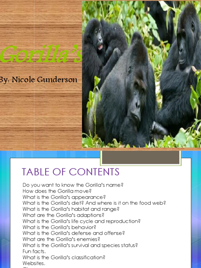 Gorilla's: By: Nicole Gunderson | PDF | Gorilla | Herbivore