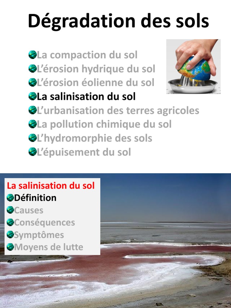 (D) Salinisation Des Sols | PDF | Irrigation | Sol (pédologie)