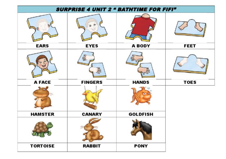 Surprise 4 Unit 2 Vocabulary Right | PDF