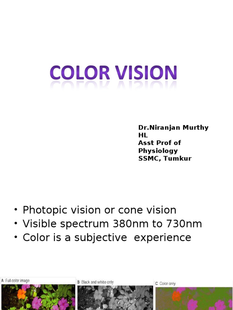 Physiology Color Vision | Color | Graphic Design