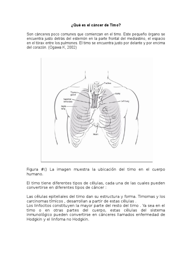 ¿Qué Es El Cáncer de Timo? | PDF | Timo | Cáncer