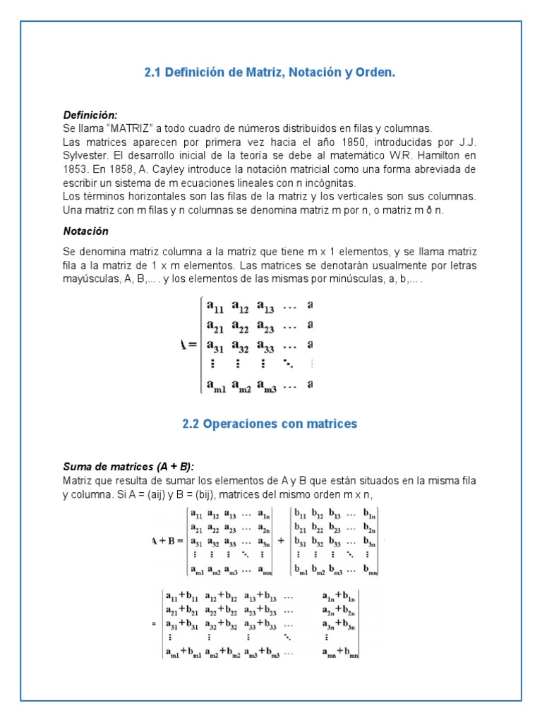 2.1 Definición de Matriz, Notación y Orden | Determinante | Matriz ...