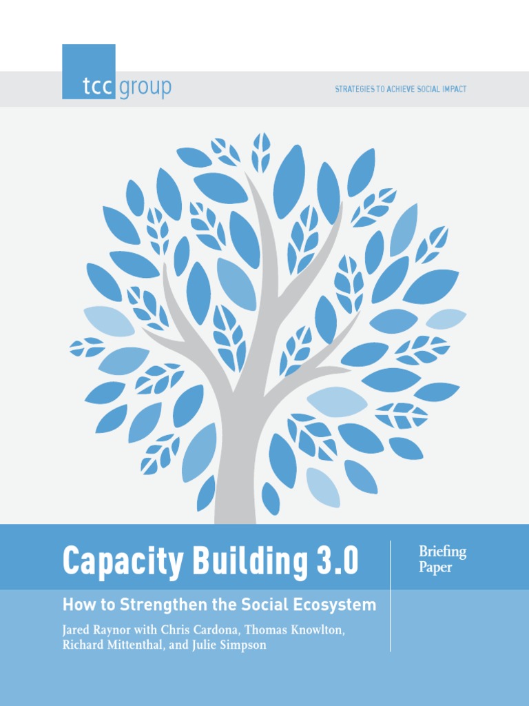 Capacity Building 3.0: How To Strengthen The Social Ecosystem | PDF ...