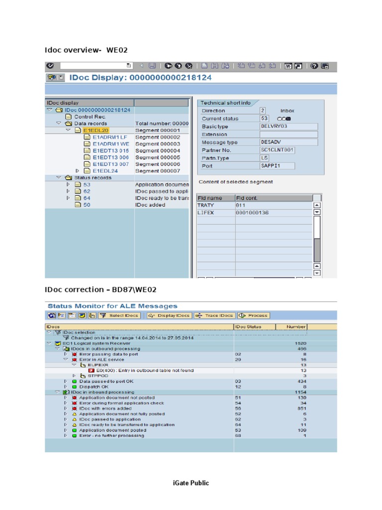 Idoc Overview-We02: Igate Public | PDF | Electronic Data Interchange | Database Transaction