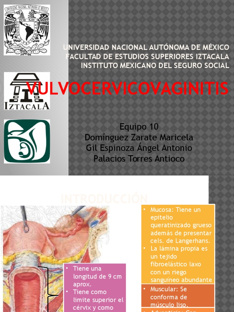 Vu LV Ocer Vico Vaginitis | PDF | Vagina | Especialidades Medicas