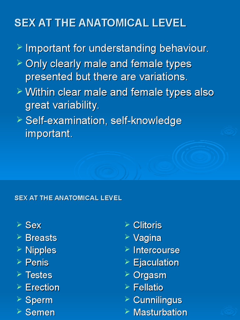 Sex at the Anatomical Level | Sexual Intercourse | Vagina