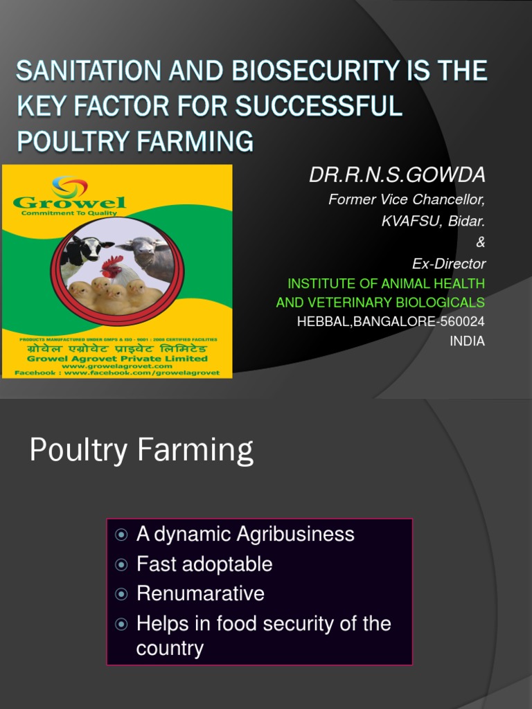 Essential Biosecurity for Poultry Farms | PDF | Disinfectant | Infection