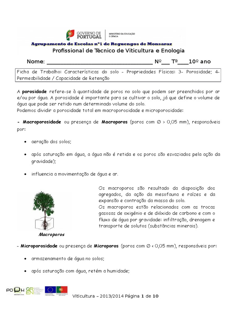 Ficha de Trabalho 11 Porosidade e Permeabilidade Parte I | PDF ...
