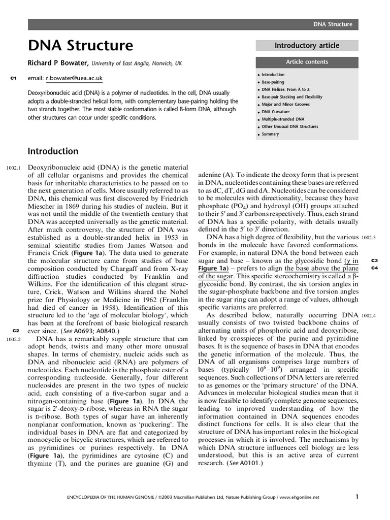 Dna Structure | PDF | Base Pair | Nucleic Acid Double Helix