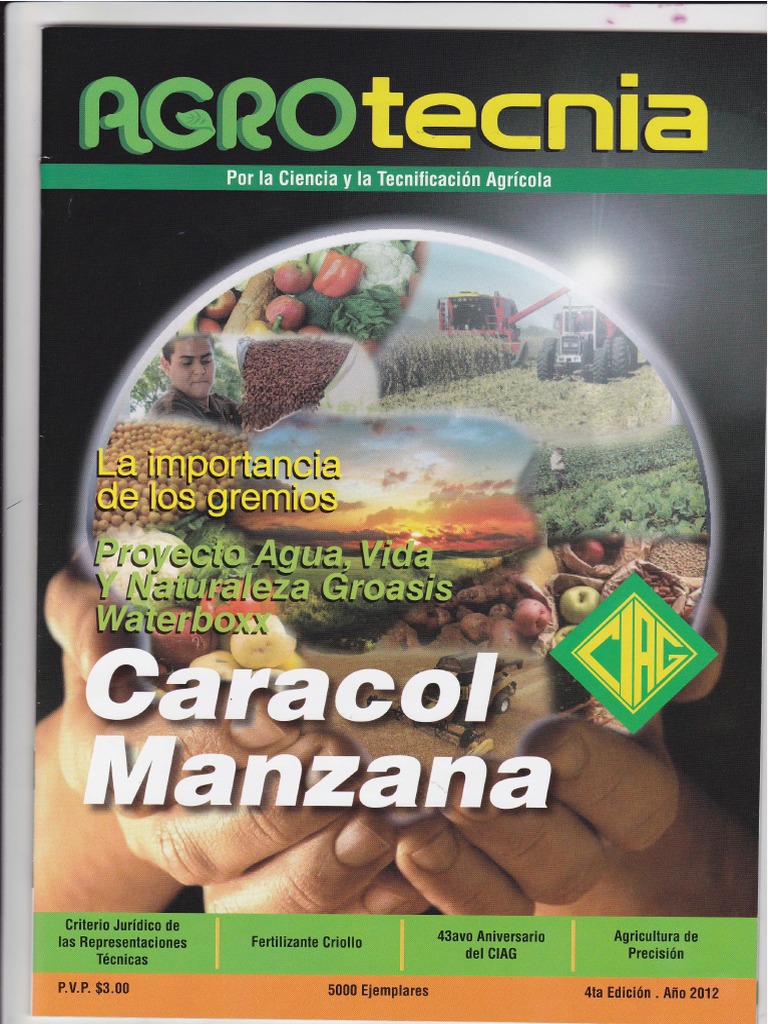 Resumen y Características Del Groasis Waterboxx | PDF | Arboles | Desierto