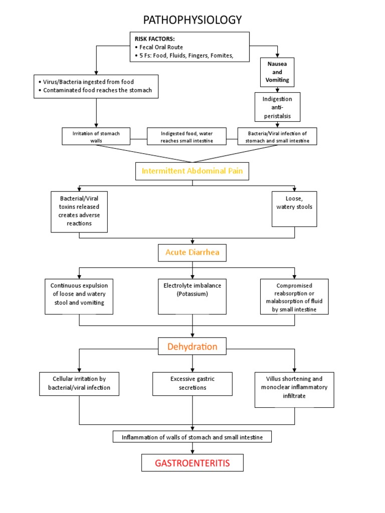 Pathophysiology of Diarrhea and Vomiting | PDF | Nausea | Vomiting