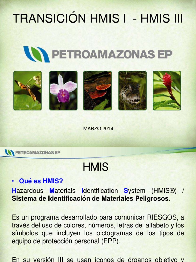 Presentación HMIS III | PDF | Toxicidad | Gases