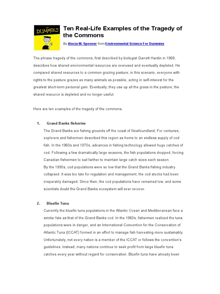 Tragedy of The Commons Examples | PDF | Tuna | Dead Zone (Ecology)