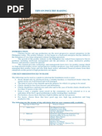 Layer Poultry Farming for Beginners | PDF | Poultry Farming | Chicken