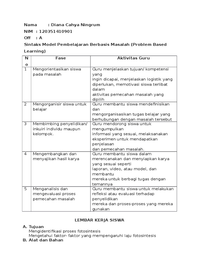 Sintaks Model Pembelajaran Berbasis Masalah | PDF