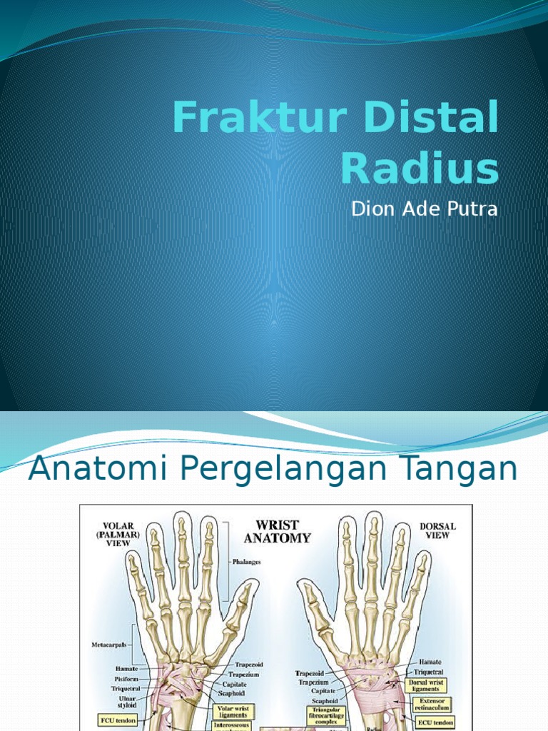 Fraktur Radius: Klasifikasi dan Tatalaksana | PDF | Wellness | Science ...
