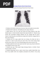PDF Anatomi Thorax Normal Gambaran Radiologi Compress | PDF