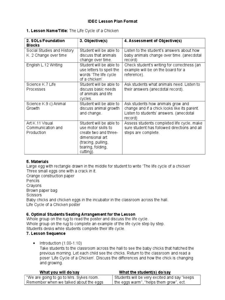 Chicken Life Cycle Lesson Plan | PDF | Chicken | Beak
