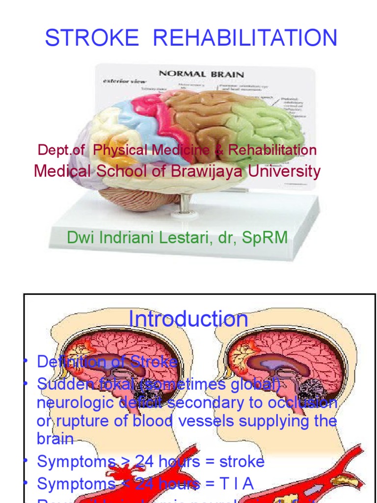 Stroke Rehabilitation | Stroke | Cardiovascular Diseases