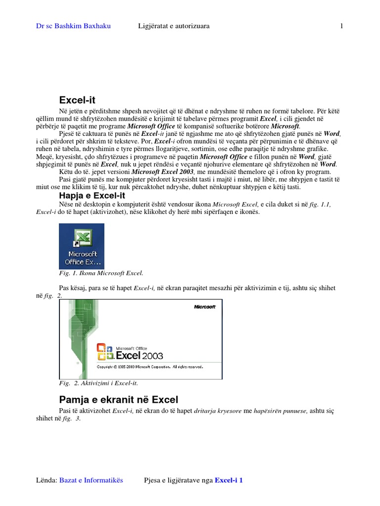 Exceli 1 | PDF