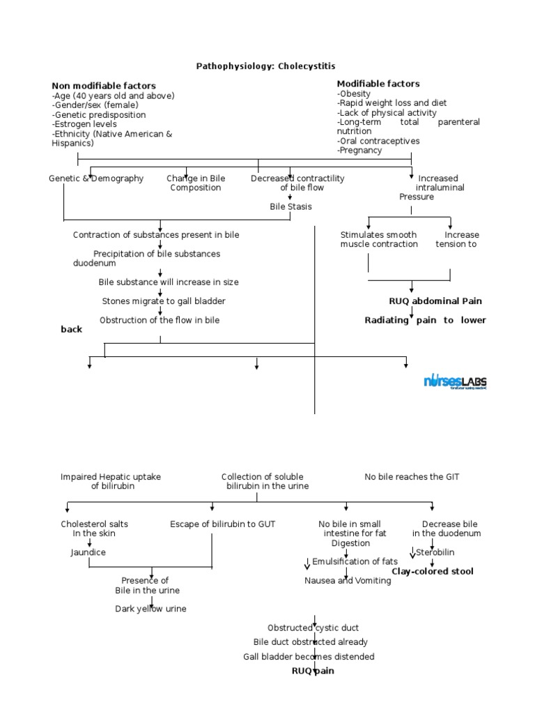 Cholecystitis Pathophysiology Schematic Diagram | PDF