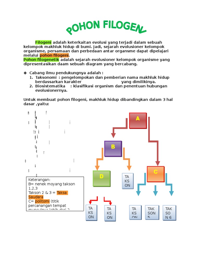 Pohon Filogeni | PDF | Filsafat