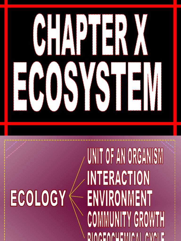 Ecosystem | PDF | Food Web | Systems Ecology