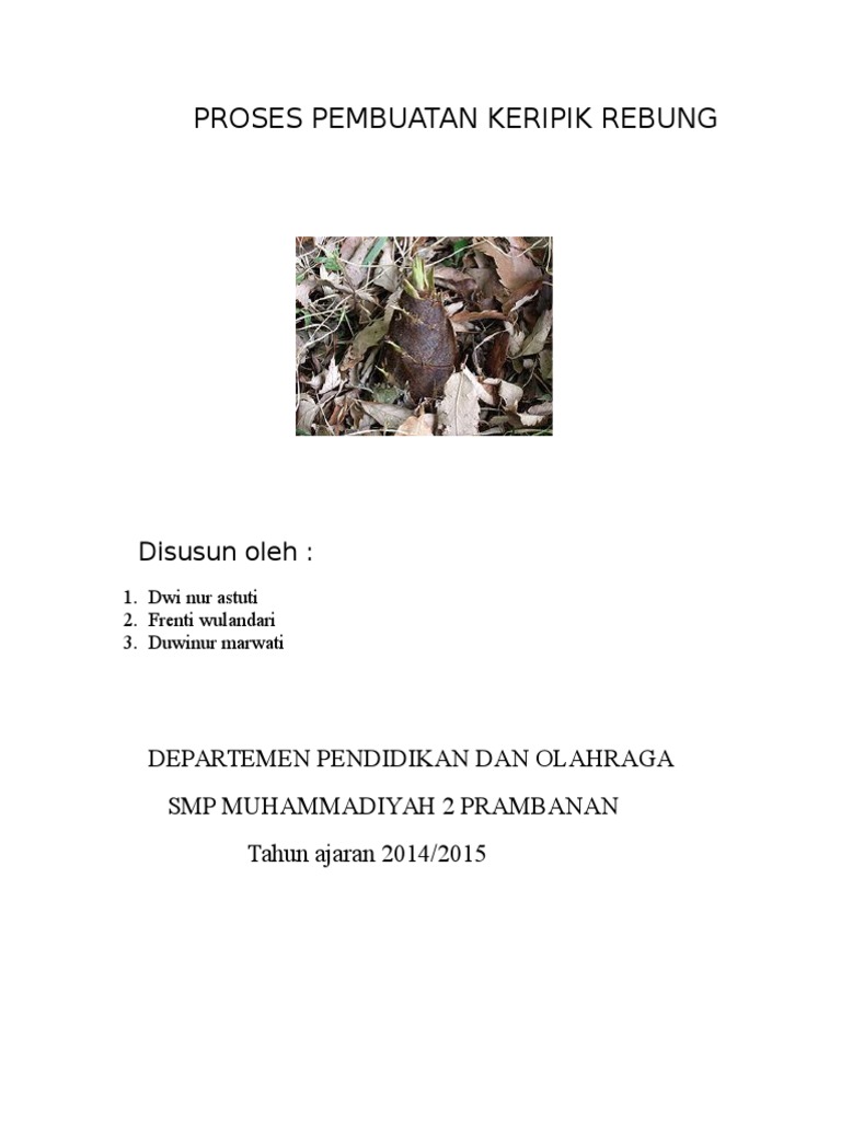 Proses Pembuatan Keripik Rebung | PDF