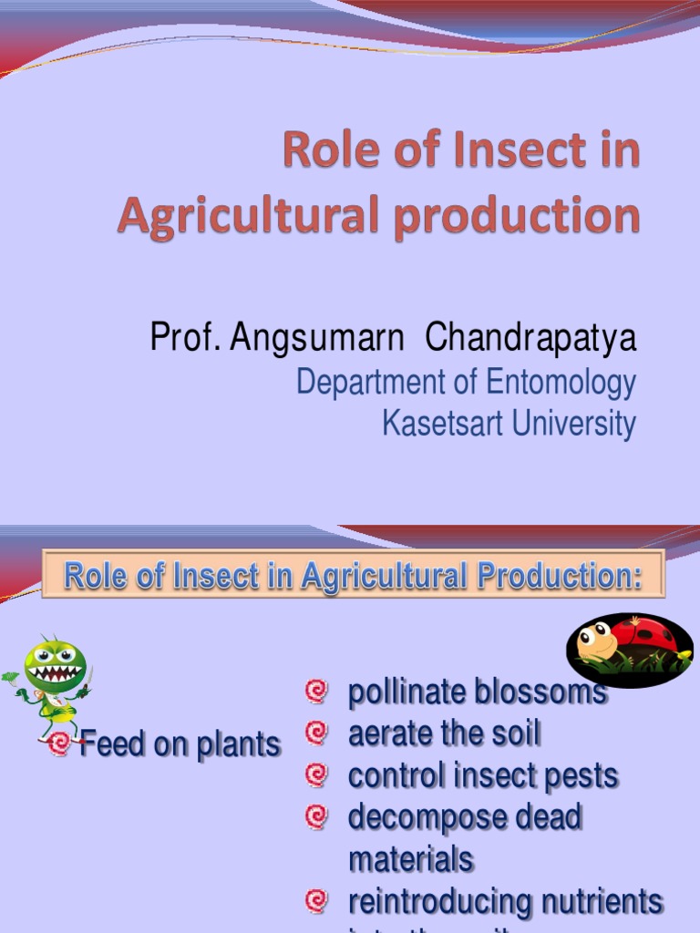 Final Role of Insect in Agriculture | PDF | Insects | Beetle