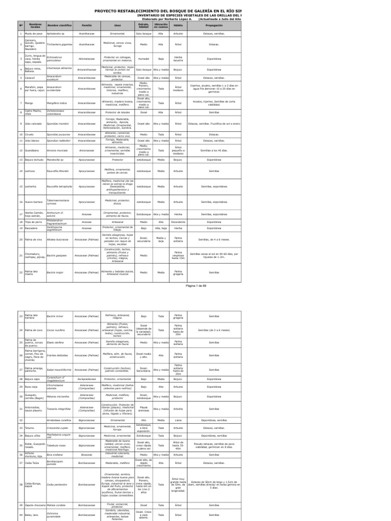 Tab - Inventario Flora Bosque Galeria Rio Sinú | PDF | Arecaceae | Arboles