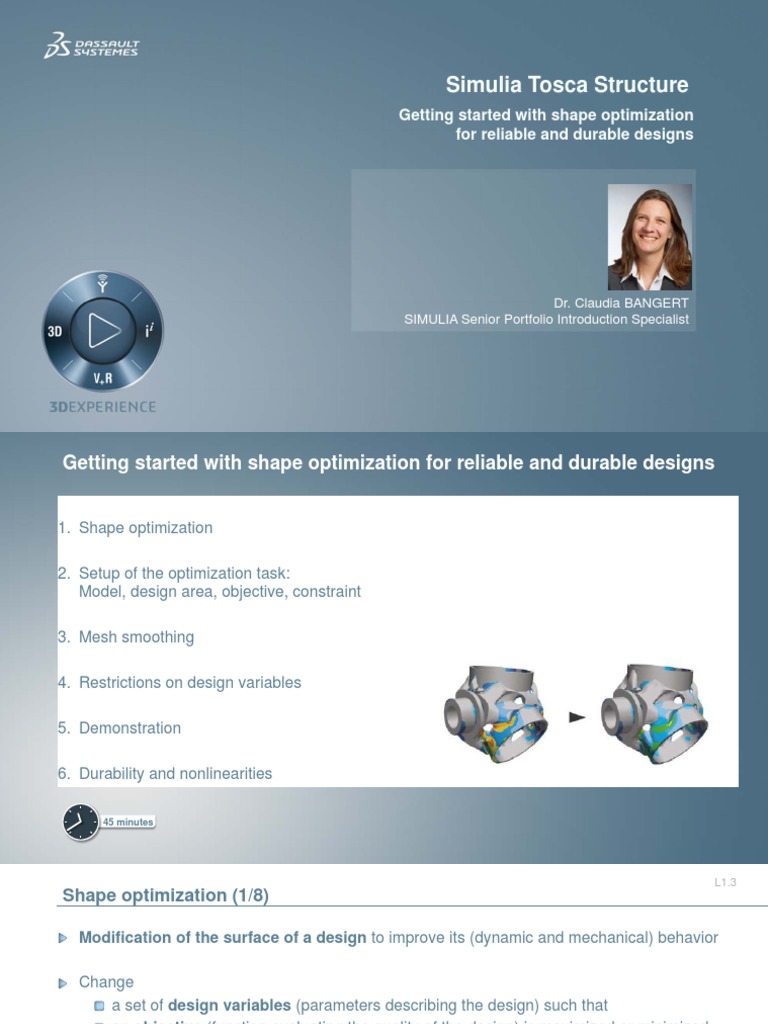 TOSCA Structure 81 Short Seminar | PDF | Mathematical Optimization ...