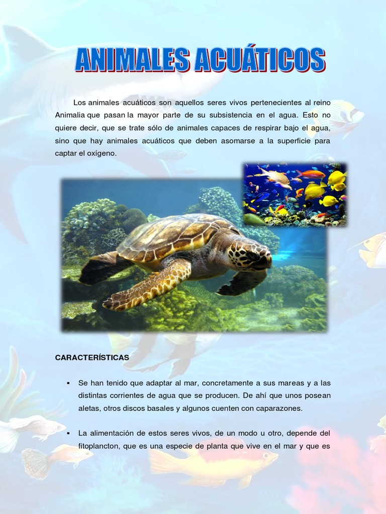 Características de Animales Acuáticos | PDF