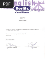 Berlitz Proficiency Levels Overview | PDF | Conversation | Communication
